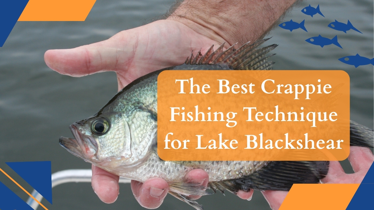 The Best Crappie Fishing Technique for Lake Blackshear
