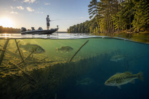 Water Temperature and Bass on Lake Blackshear Explained
